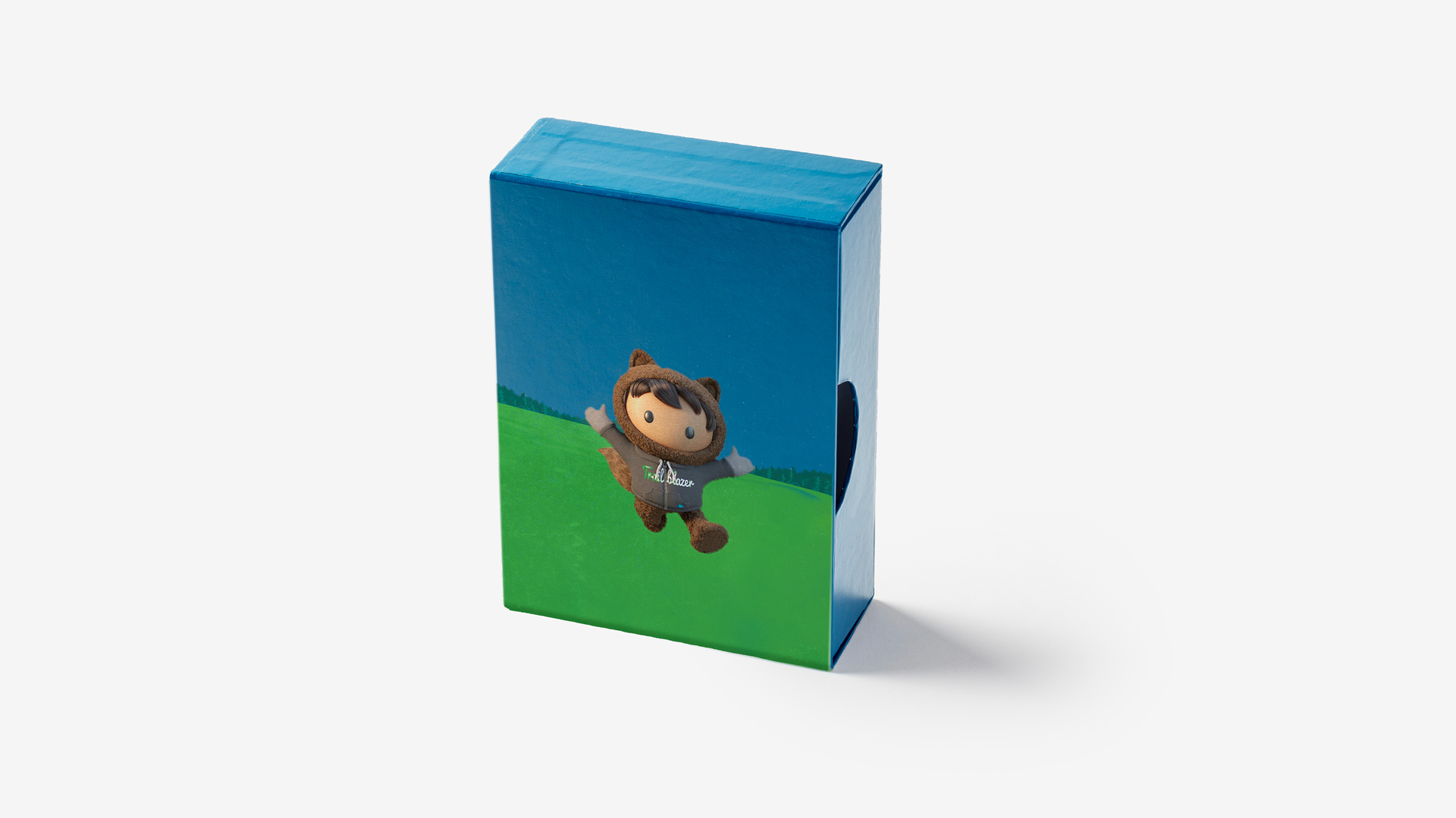 Salesforce Onboarding Gift | Bookblock | Custom Notebooks, Journals and ...